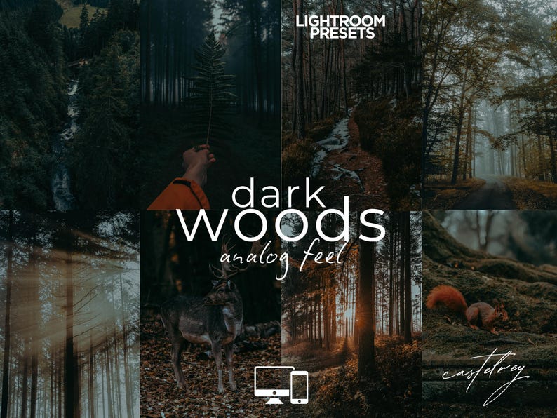 15 presets de floresta escura para Lightroom, compatíveis com ...