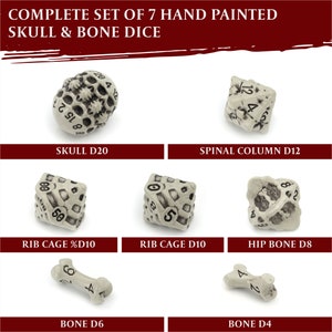 DND Dice Set - 7 Polyhedral Skull / Bone RPG Dice - Cool and Unique D20 ...