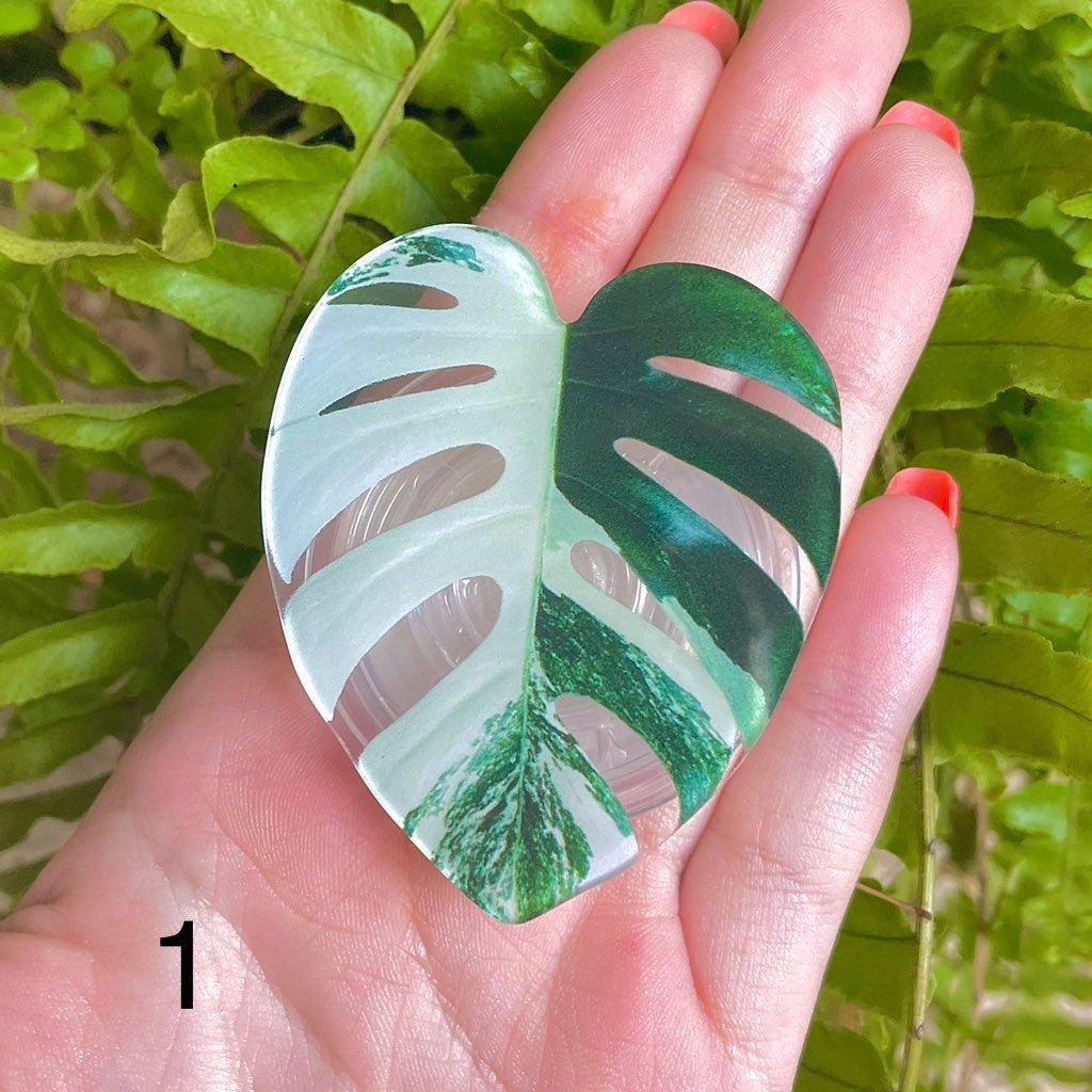 Leaf Phone Grips Pop Socket Plants for Phone - Etsy UK