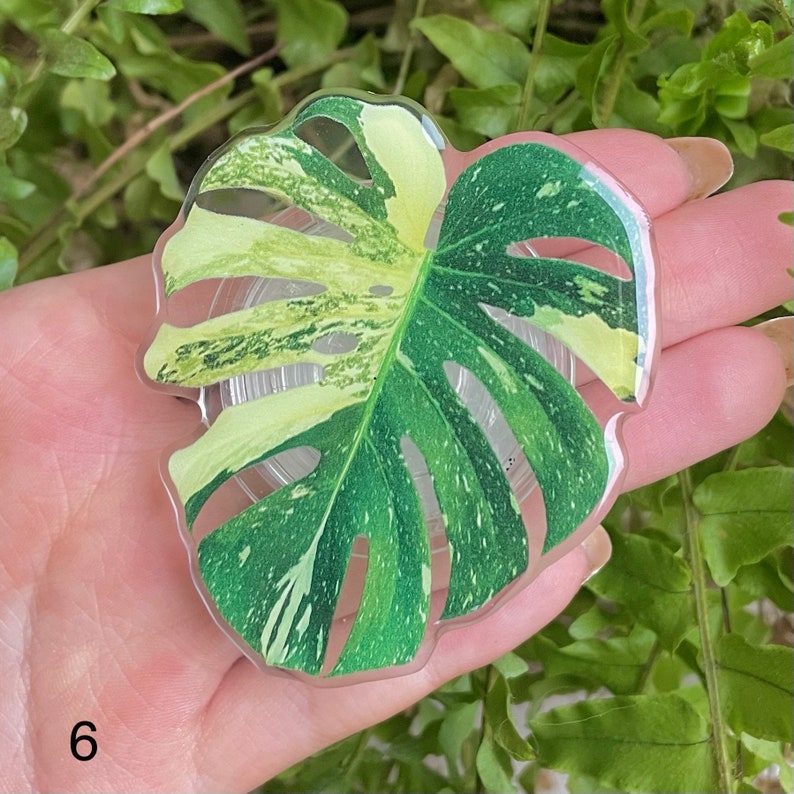 Leaf Phone Grips Pop Socket Plants for Phone - Etsy UK