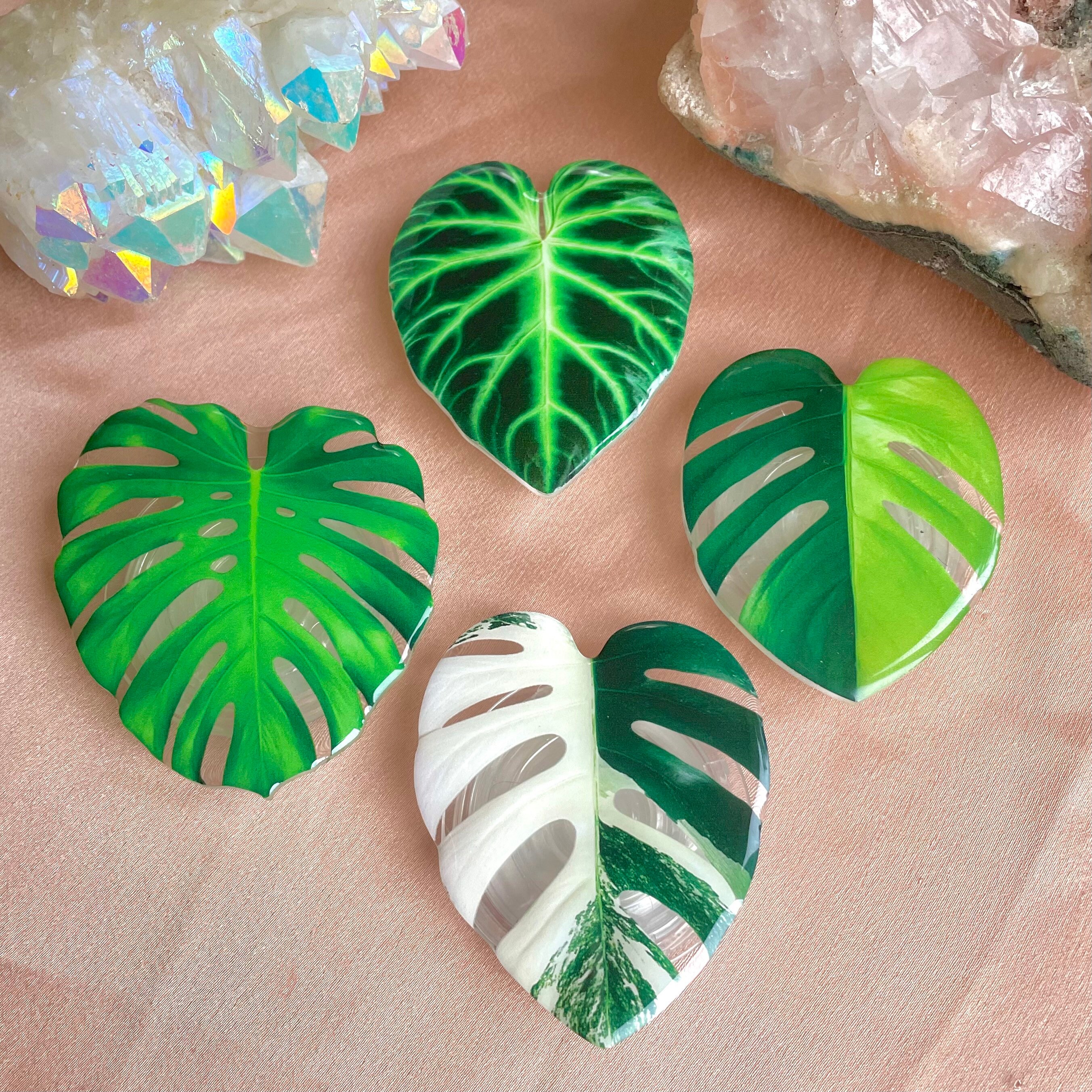 Leaf Phone Grips Pop Socket Plants for Phone - Etsy UK