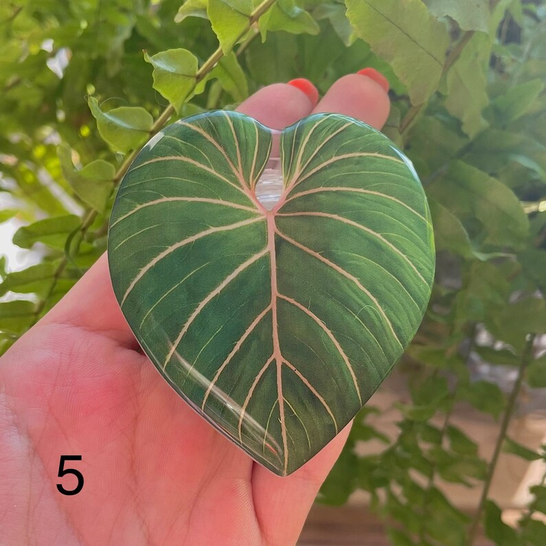 Leaf Phone Grips Pop Socket Plants for Phone - Etsy UK