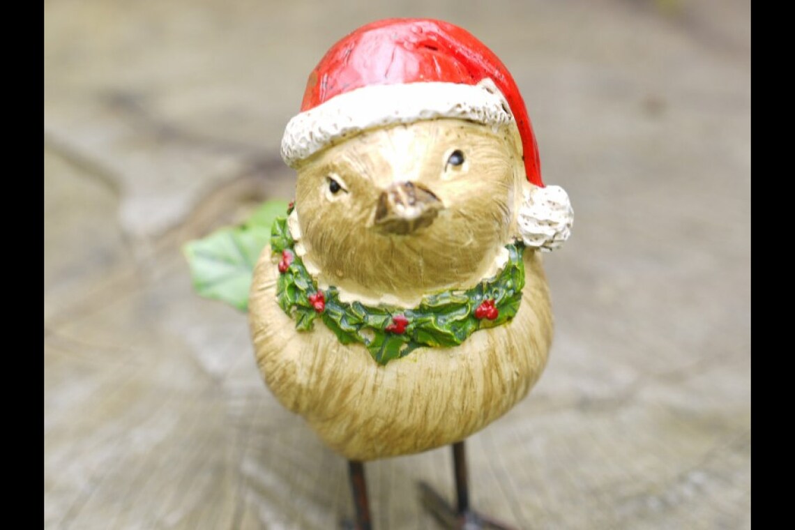 Christmas Bird Wearing Santa Hat - Etsy