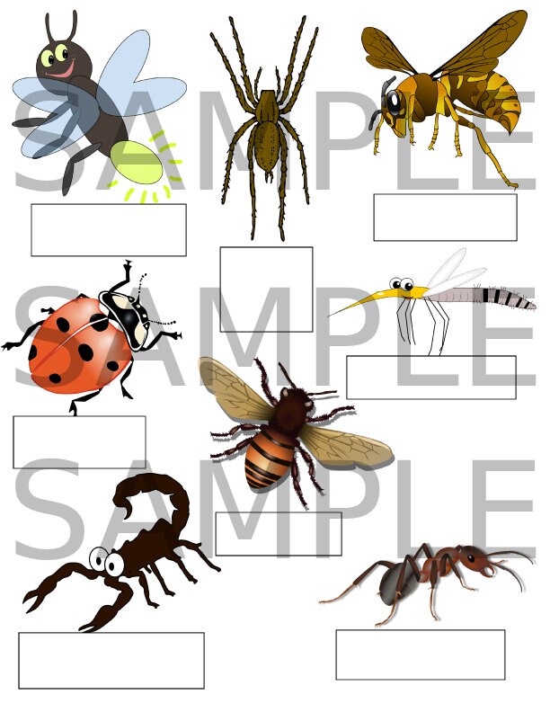 BUGS!- Paper Craft-instant DOWNLOAD-8 1/2 X 11-craft for Kids-15 Cut ...