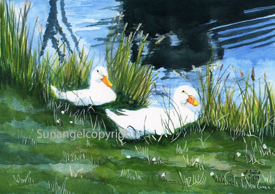 DUCKS ART PRINT. A High Quality Print of a Pair of White Ducks - Etsy ...