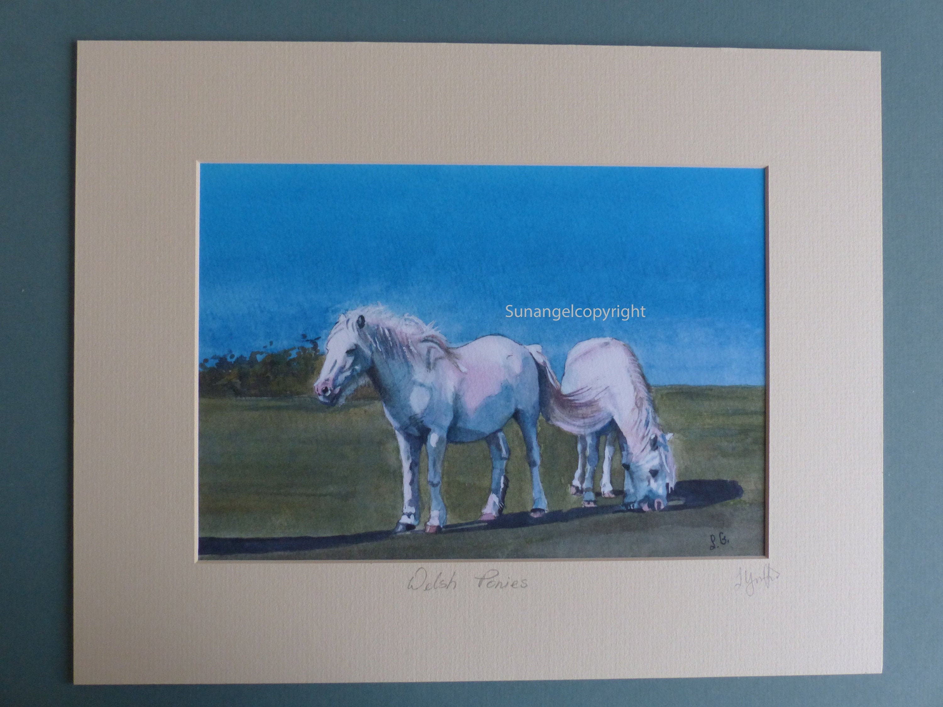 Horse Wall Art.horse Art Print. Pony Print. Welsh Ponies Print. Ponies ...