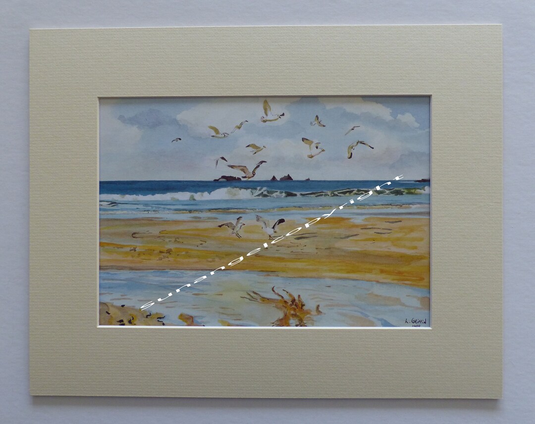 A Cornish Art Print. Seagulls at Treyarnon Bay Near Padstow in Cornwall ...