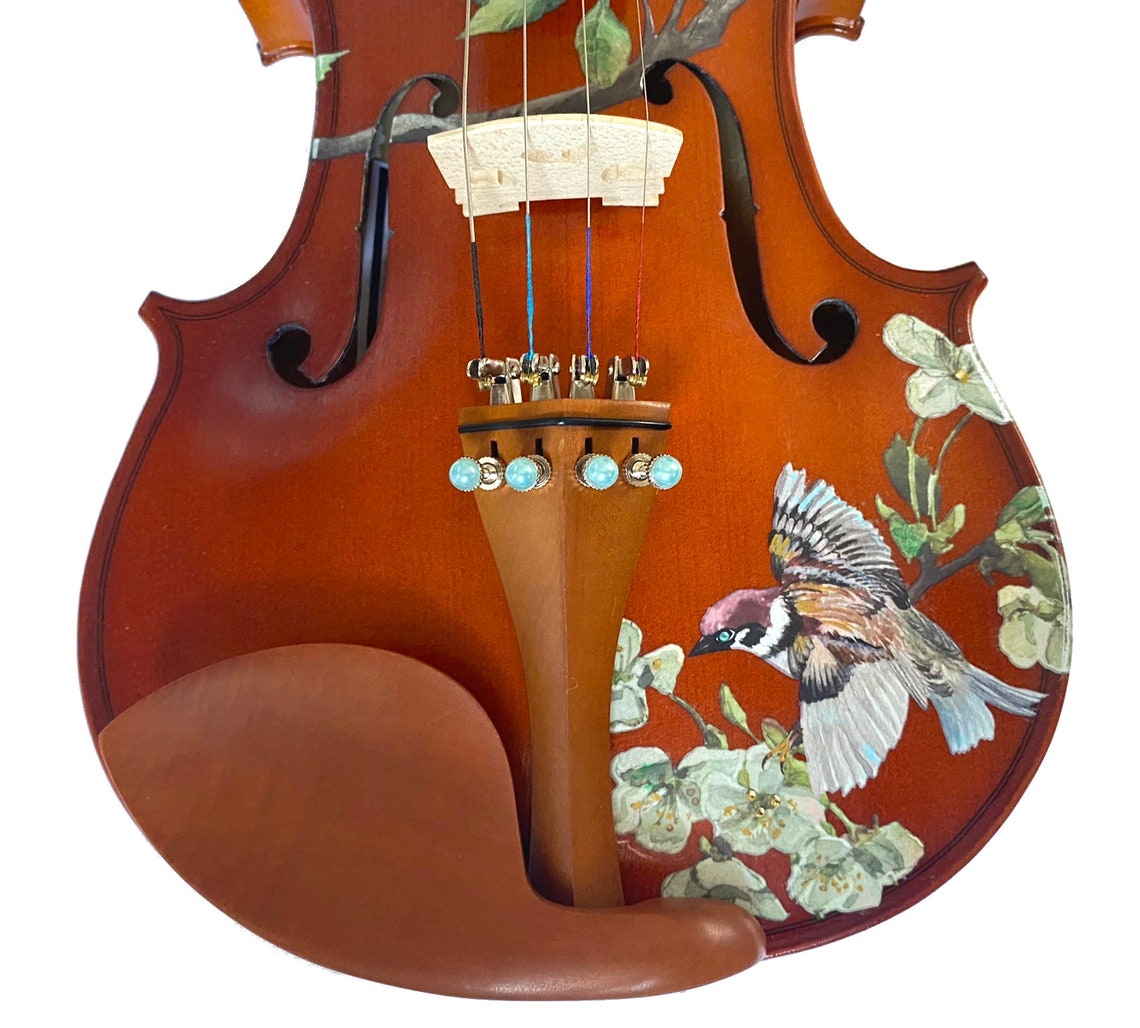 Bird Song Violin Outfit - Etsy