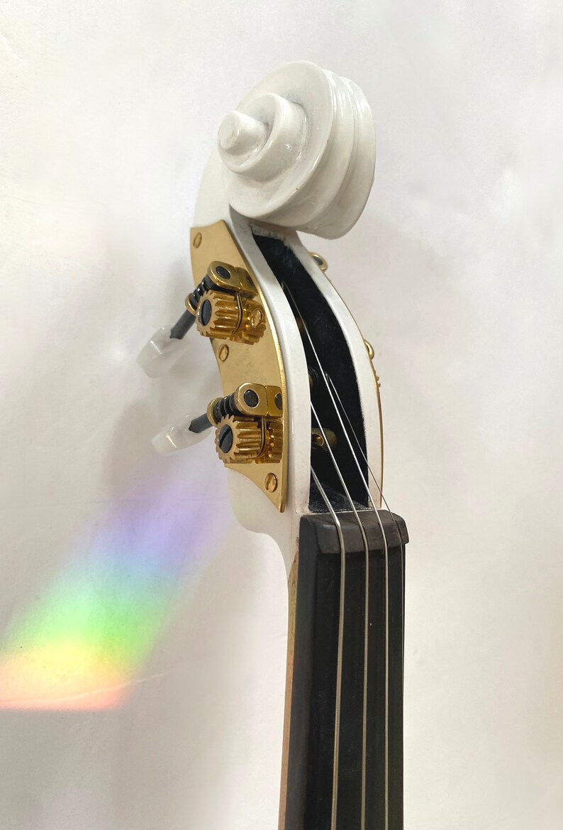 Rose Violin Electro Acoustic Outfit - Etsy