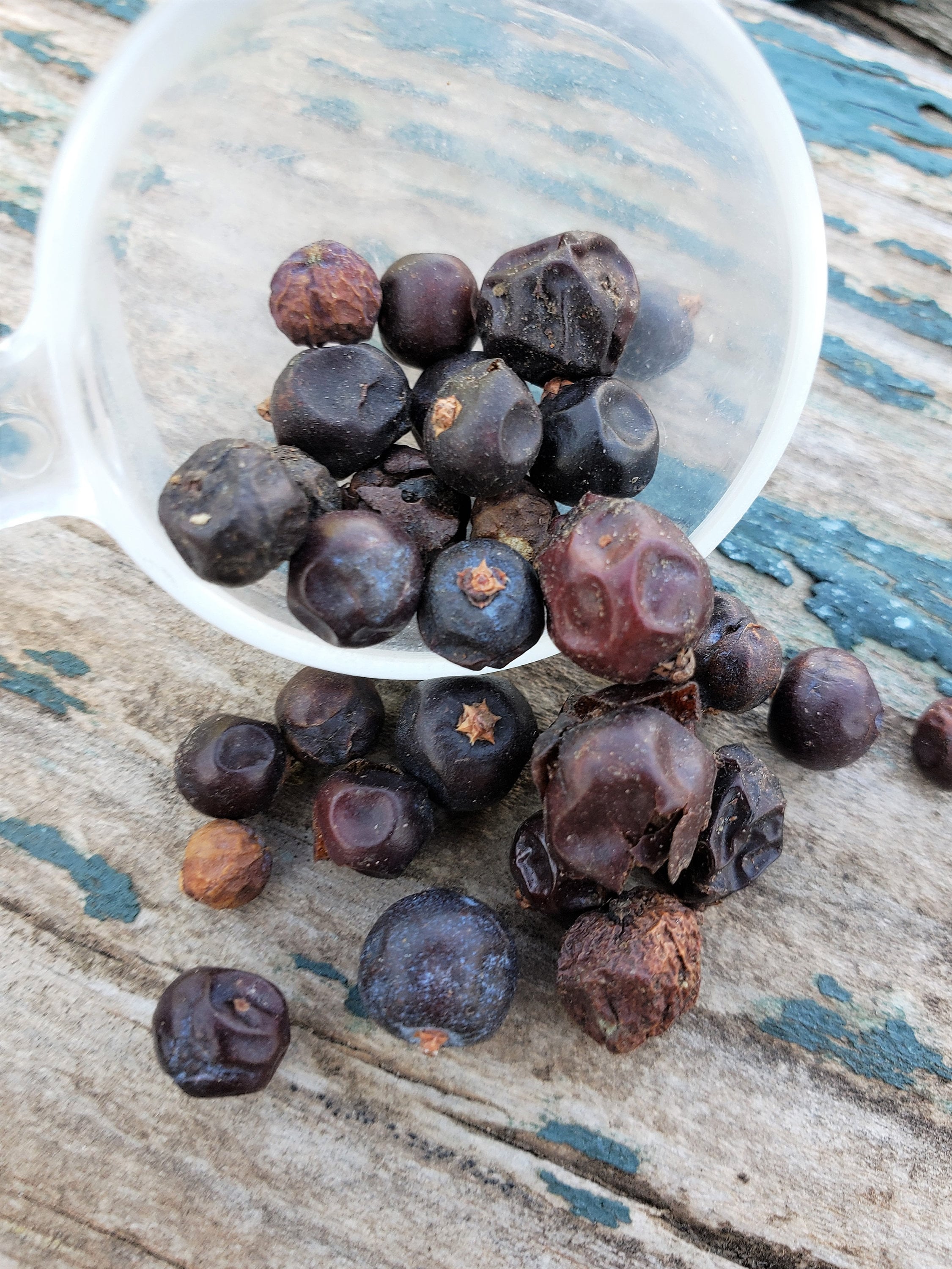 Dried Juniper Berries