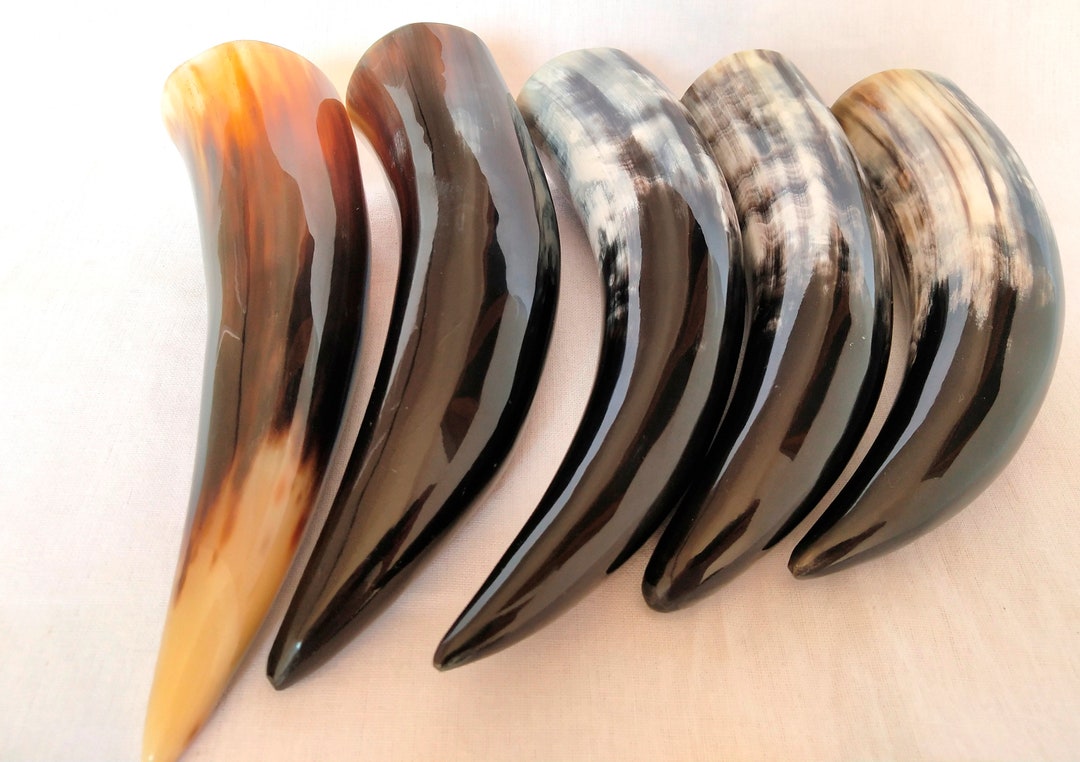 Pack of 5 Viking Natural Medieval Buffalo Short Hornox Beer Horn With ...