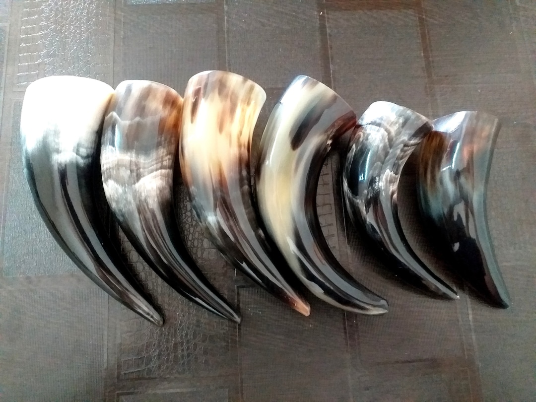 Pack of 6 Short Viking Natural Medieval Buffalo Horn the Ultimate Shot ...