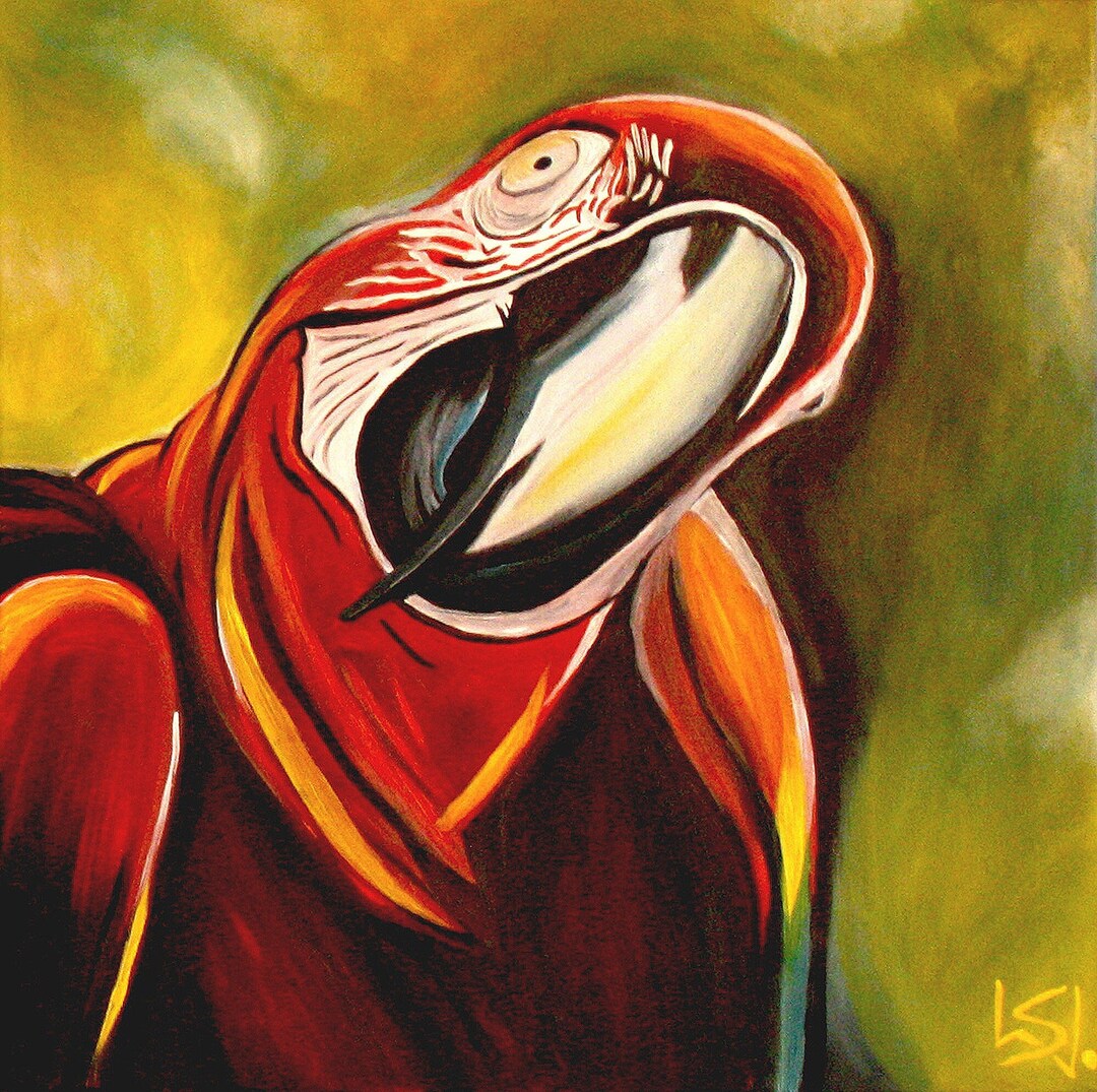 Jacob, Parrot, Macaw, Bird of Paradise, Colorful Bird, Cheeky Bird - Etsy