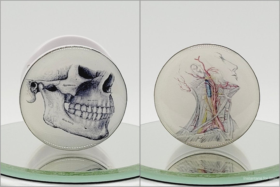 Human Anatomy Inspired Cell Phone Grip: Multiple Styles Human Anatomy ...