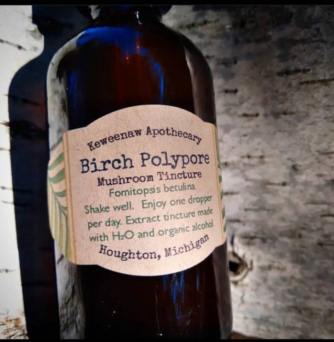 Birch Polypore Extract Tincture 2oz - Etsy
