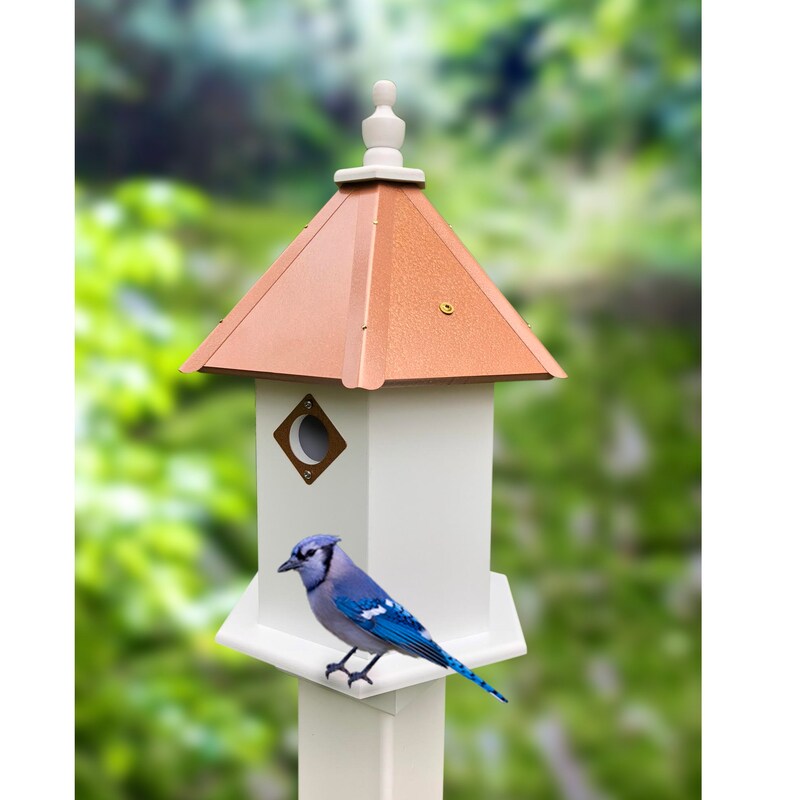 Bird House Predator Guard - Etsy