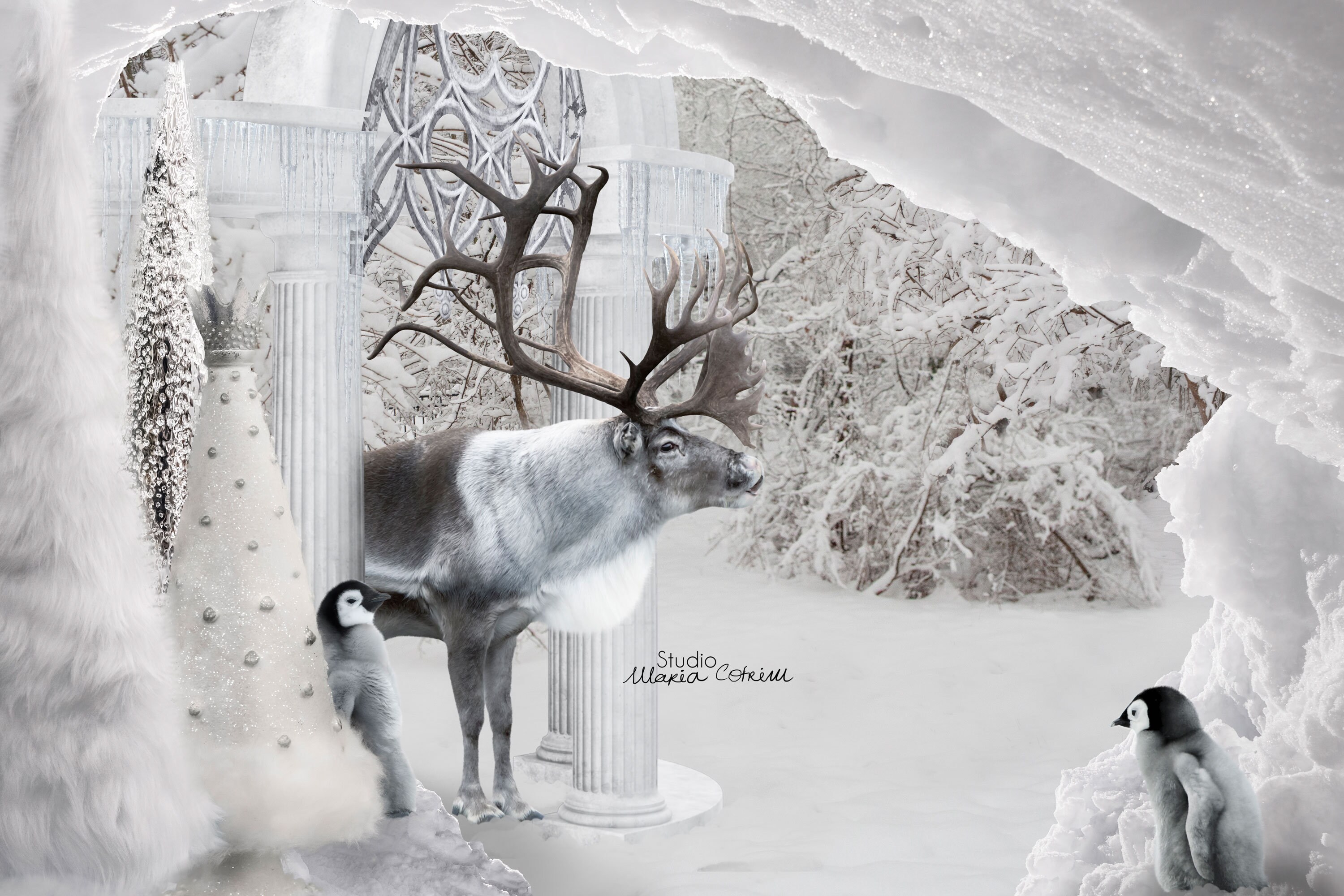 Winter Scene Digital Backdrop/ Background/ Christmas Scene Winter ...