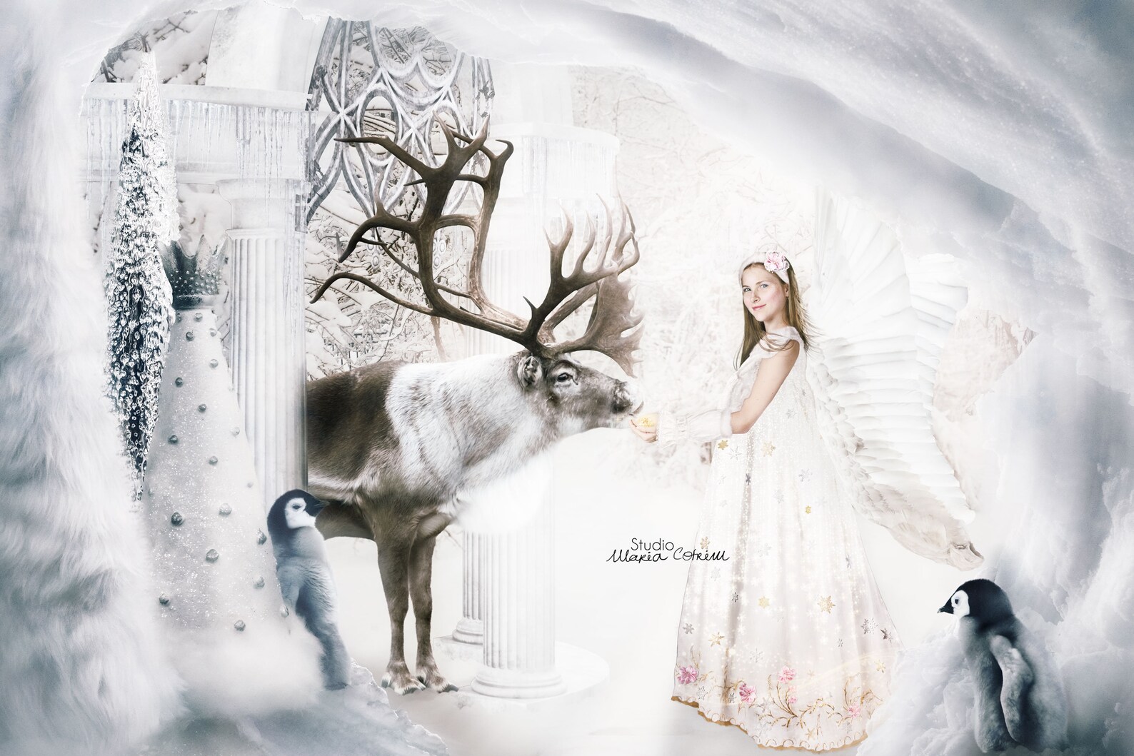Winter Scene Digital Backdrop/ Background/ Christmas Scene Winter ...