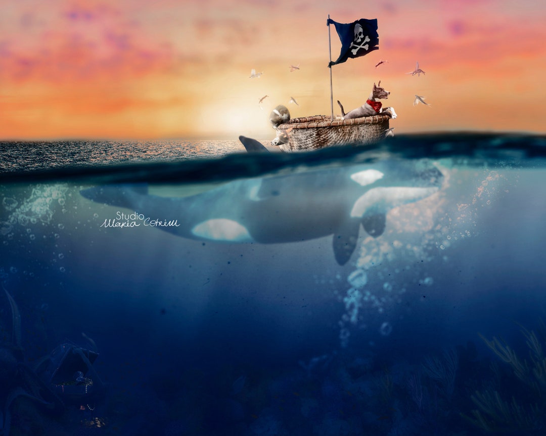 Pirate Digital Backdrop/ Pirate Digital Background/ Adventure ...