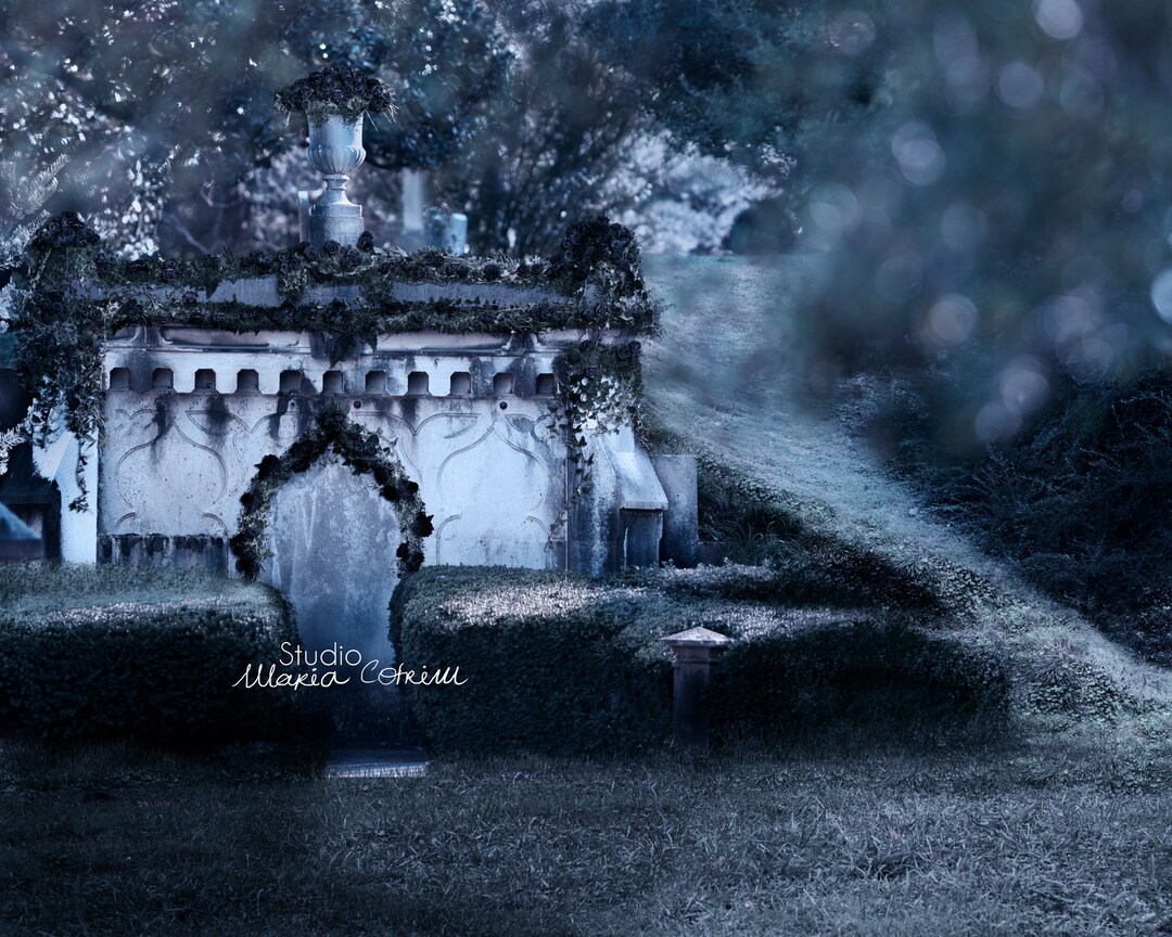 Graveyard of the Black Roses Digital Background/backdrops for Photoshop ...