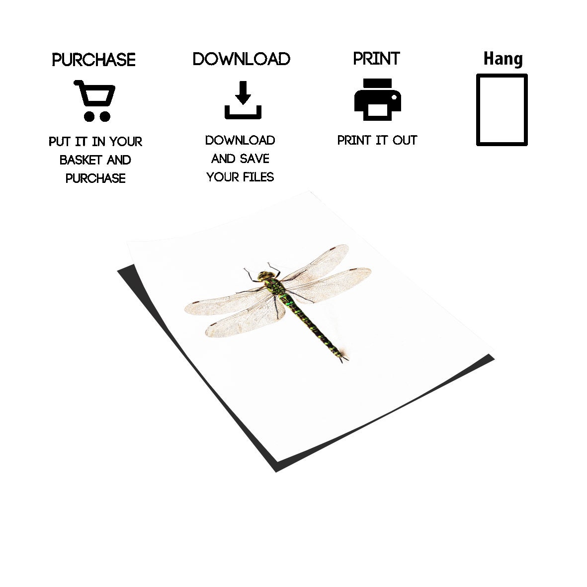 Dragonfly Printinsect Art Printvintage Dragonfly Wall Art - Etsy