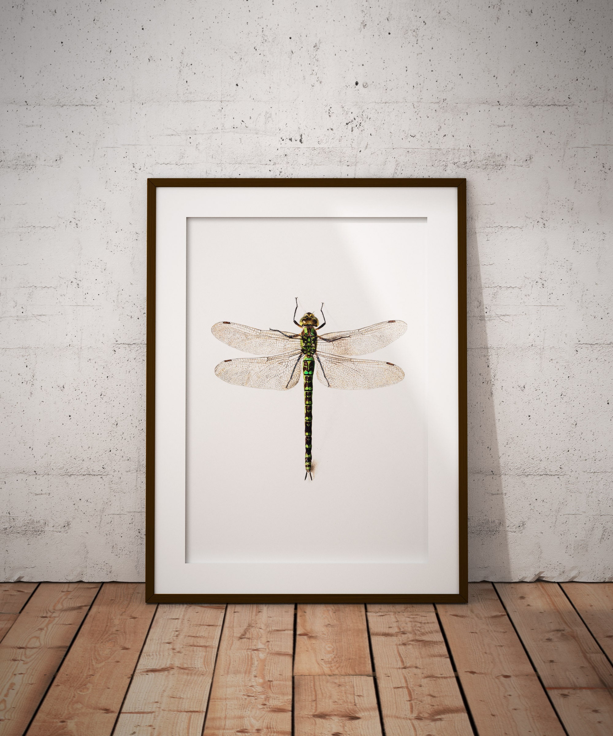Dragonfly Printinsect Art Printvintage Dragonfly Wall Art - Etsy