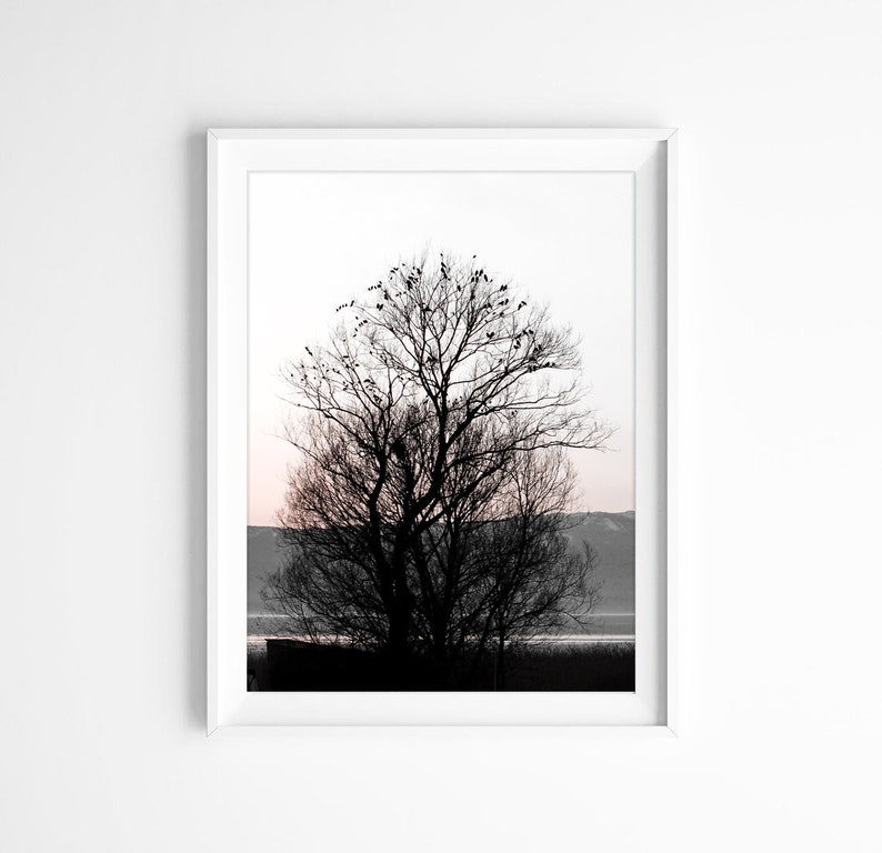 Birds on the Tree Branches Printnature Landscape - Etsy
