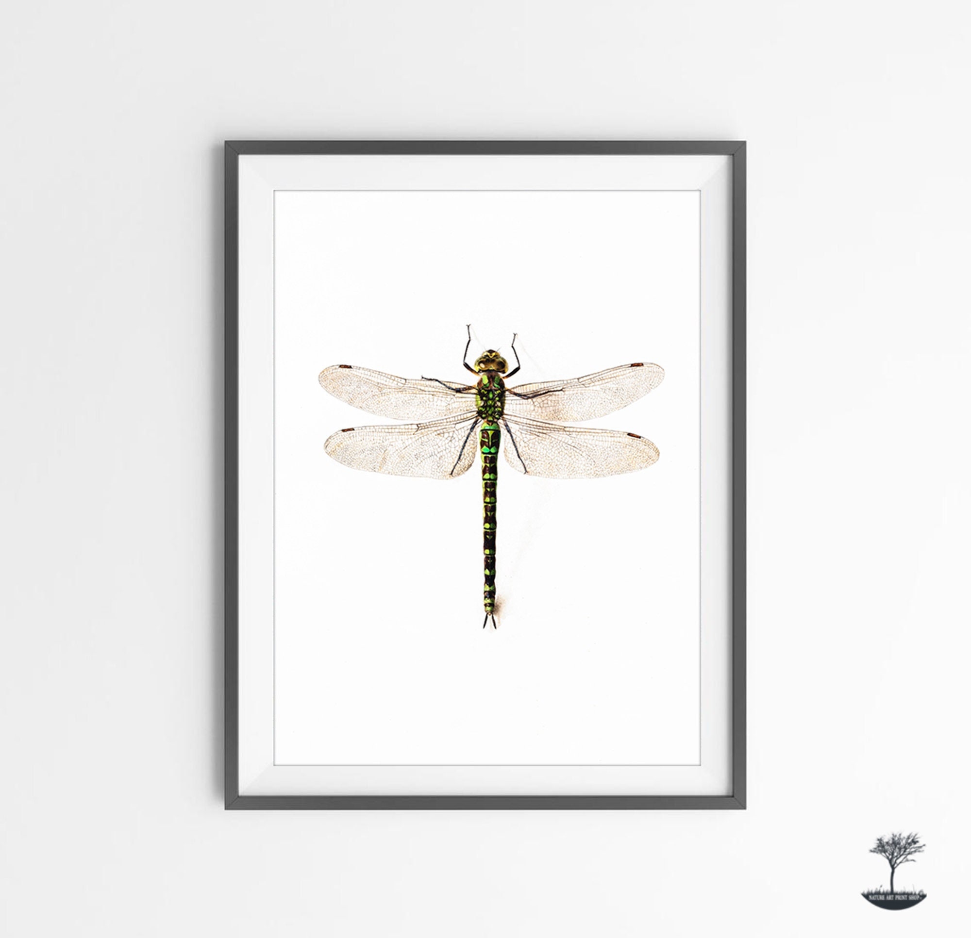 Dragonfly Printinsect Art Printvintage Dragonfly Wall Art - Etsy