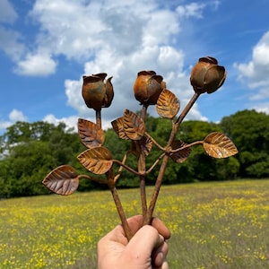 Rose Roses Flower Valentine Rustic Rusty Love Garden Art Yard Art ...