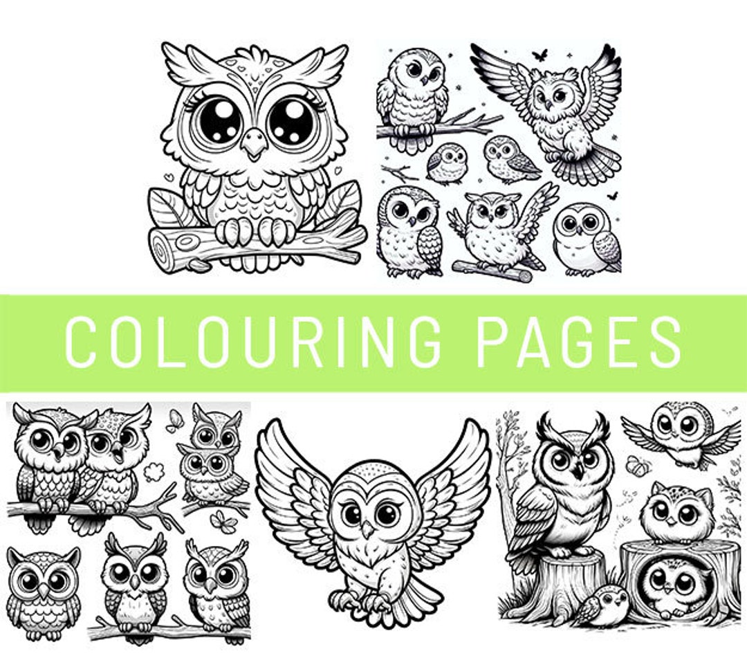 Cartoon Owl Colouring Page Images Digital Download Printable Art - Etsy