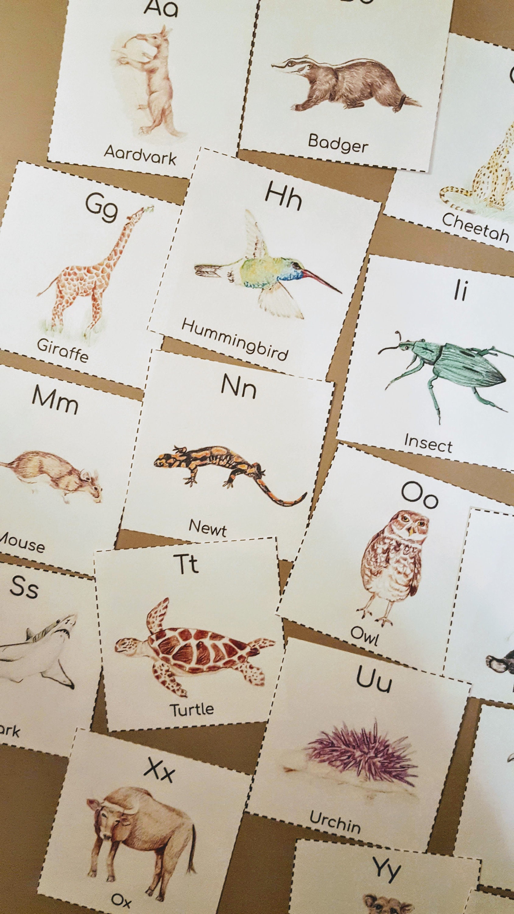 Vintage Hand-drawn Alphabet Animal Cards for Kids | Printable Digital ...
