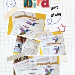 Hummingbird Study Lesson Plan | Anatomy Chart, Labels, & Worksheet for ...