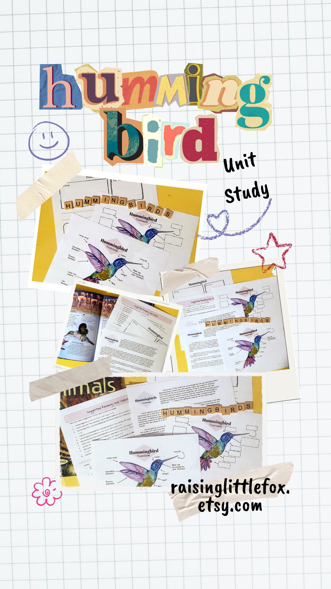 Hummingbird Study Lesson Plan Anatomy Chart, Labels, & Worksheet for ...