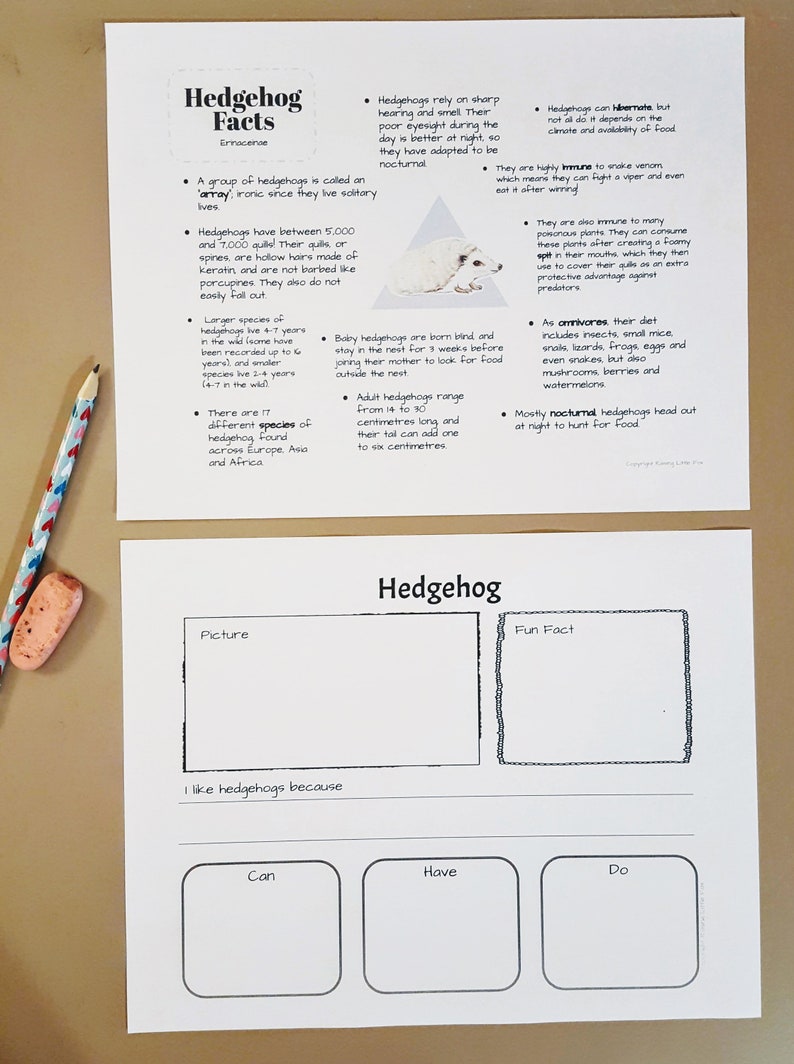 Unit Study Hedgehog Anatomy and Facts - Lesson Plans, Homeschool ...