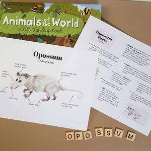 Unit Study Opossum Anatomy and Facts - Lesson Plans, Homeschool ...