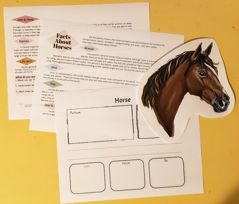 Unit Study on Horse Anatomy and Fun Facts | Grades 1-5 | Science Nature Study Lesson Plans ...