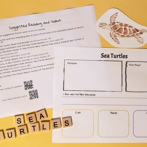 Sea Turtle Lesson Plan for Co-op, Homeschool or Classroom Study - Unit ...