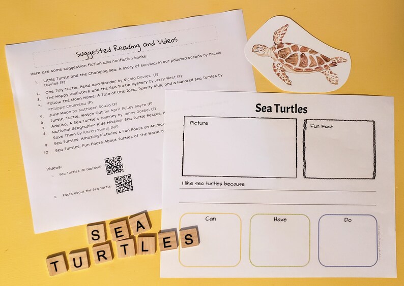 Sea Turtle Lesson Plan for Co-op, Homeschool or Classroom Study - Unit ...