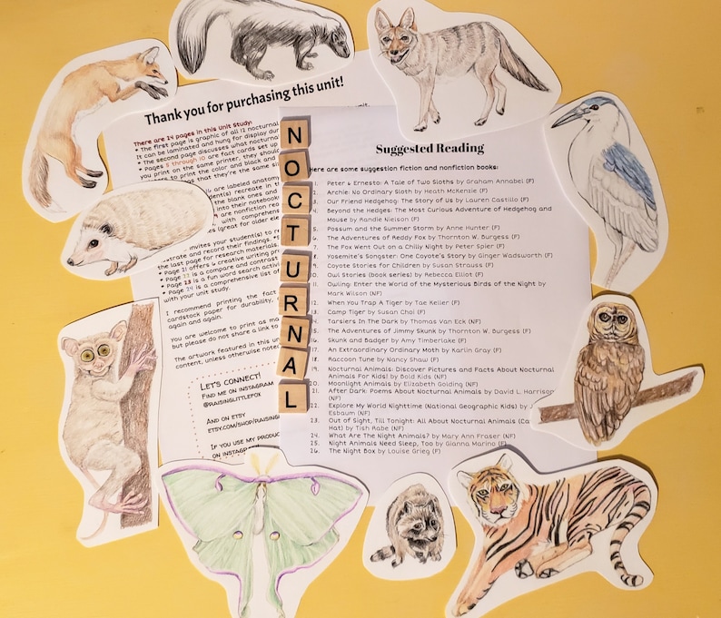 Digital Download Nocturnal Animals Unit Study -12 Unique Animals ...