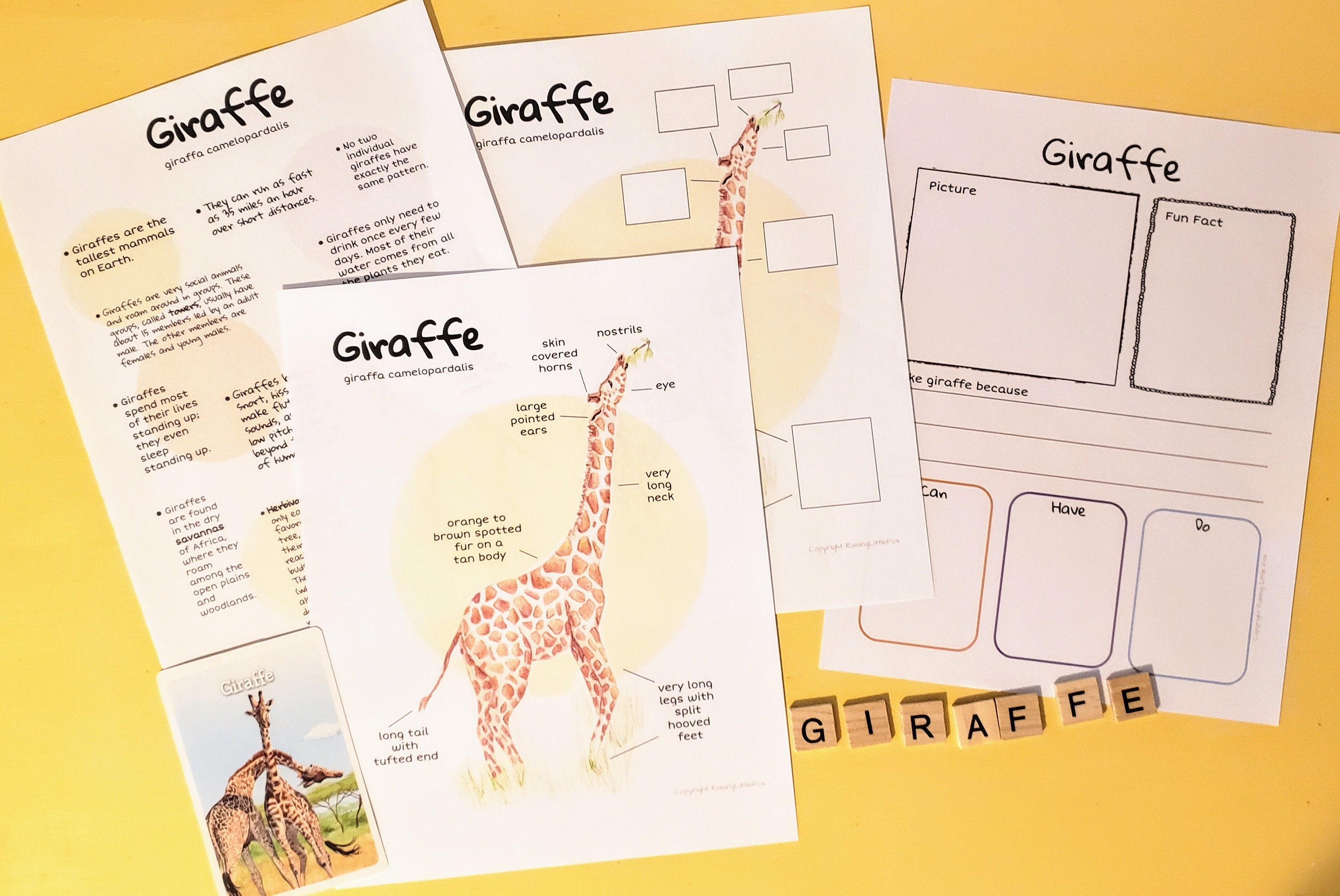 Giraffe Science Unit Study for Homeschool | Anatomy, Fun Facts, Books ...