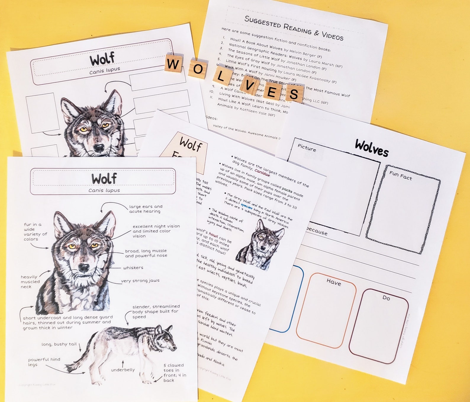 Unit Study on Wolf Anatomy and Fun Facts | Grades 1-5 | Science Nature ...
