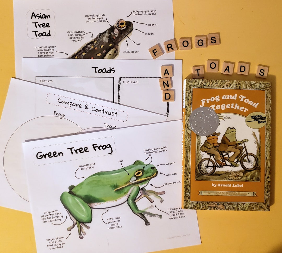 Unit Study on Frogs and Toads - Grades 1-5 Science Activity ...