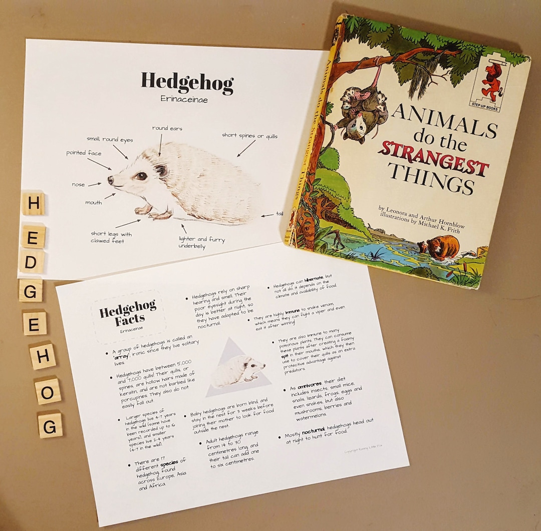 Unit Study Hedgehog Anatomy and Facts - Lesson Plans, Homeschool ...