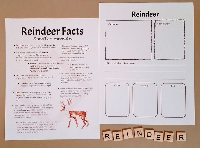 Unit Study Reindeer Anatomy and Facts - Lesson Plans, Homeschool ...