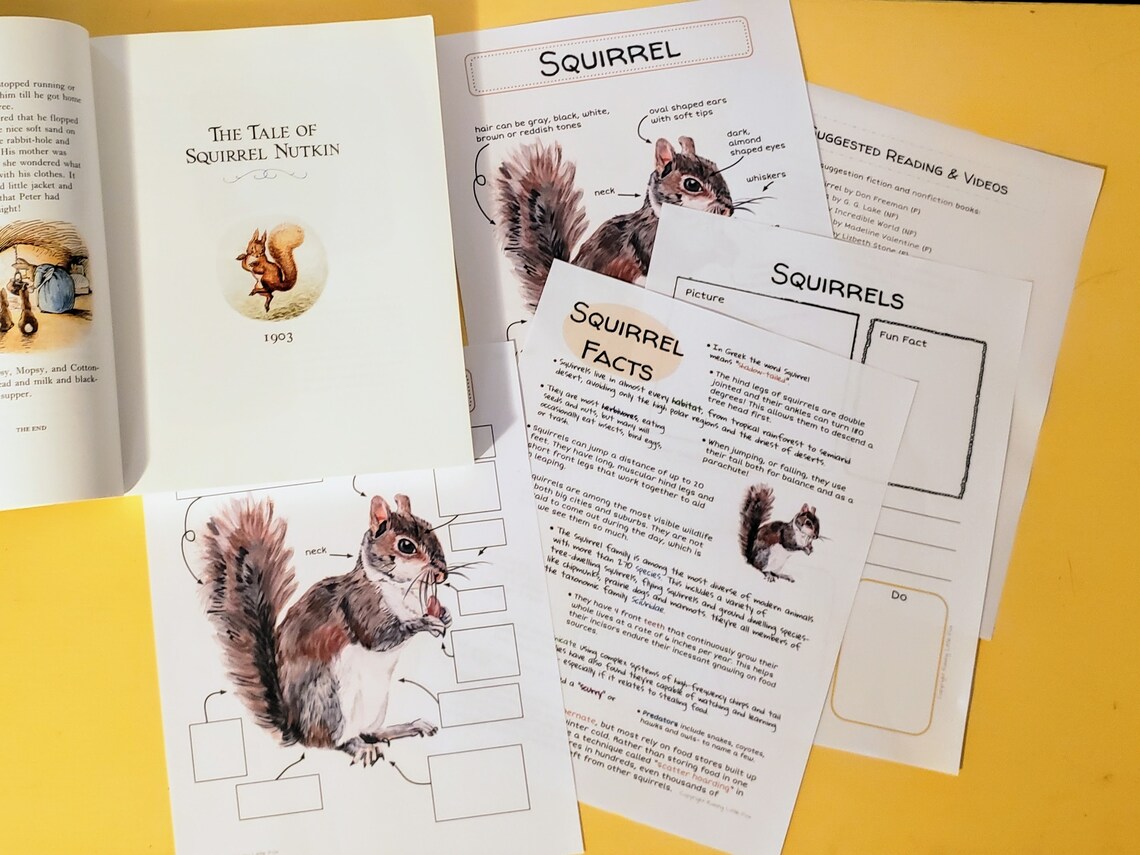 Squirrel Unit Study for Homeschoolers and Co-ops - Nonfiction and ...