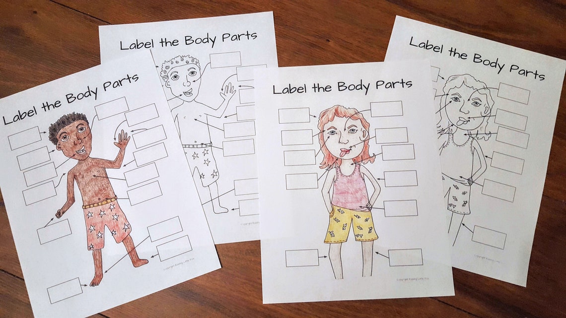 Label the Body Parts - Homeschool, Lesson, Lesson Plans, Multiple ...