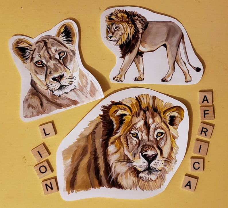 Unit Study African Lion Anatomy and Facts - Lesson Plans, Homeschool ...
