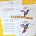 Hummingbird Study Lesson Plan | Anatomy Chart, Labels, & Worksheet for ...