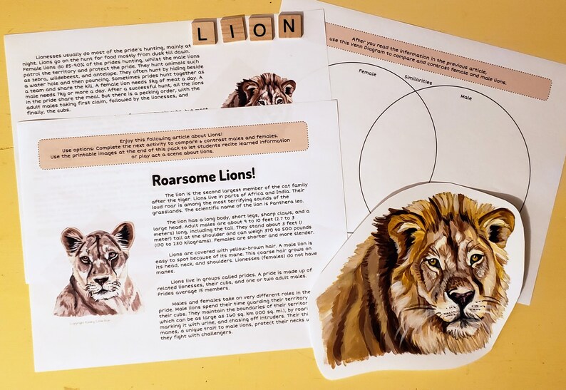 Unit Study African Lion Anatomy and Facts - Lesson Plans, Homeschool ...