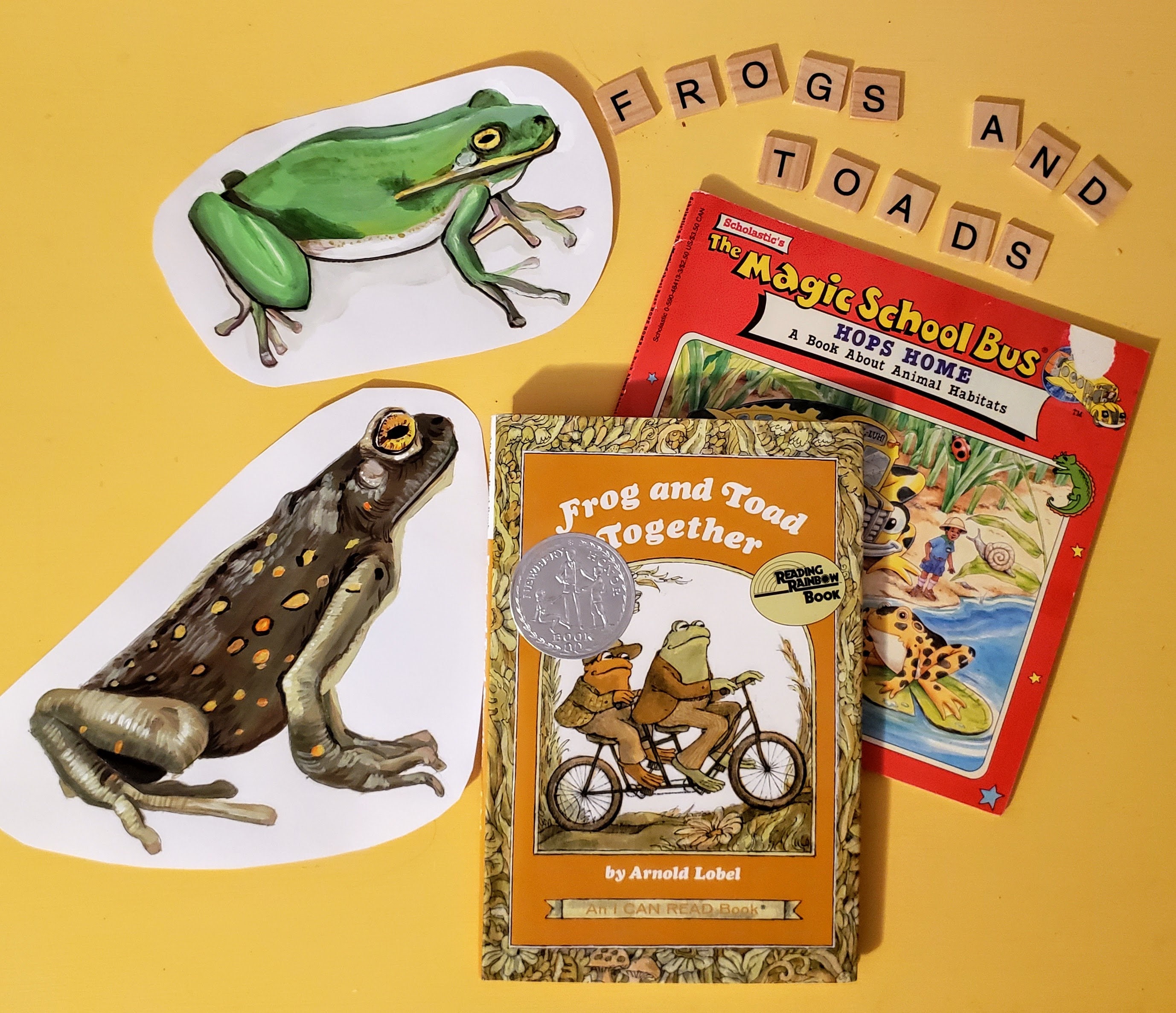 Unit Study on Frogs and Toads - Grades 1-5 Science Activity ...
